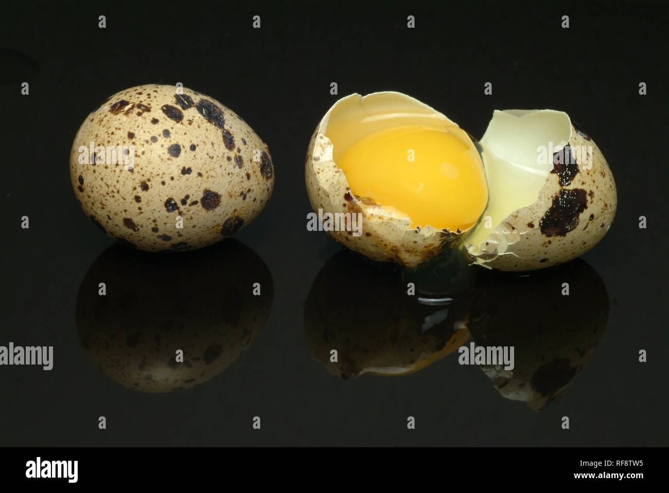 Cracked eggs hi-res stock photography and images - Alamy