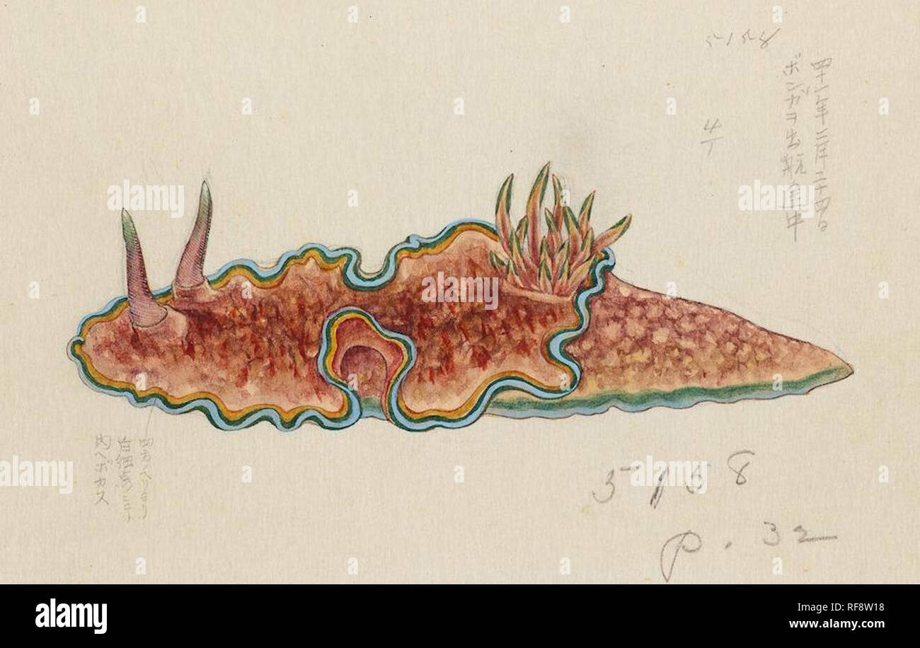 Slug cartoon hi-res stock photography and images - Alamy