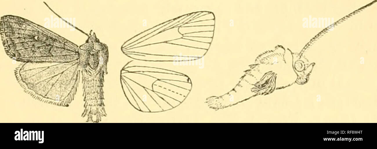 Black discal spot hi-res stock photography and images - Alamy