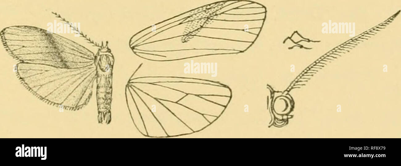 Front wing end plate hi-res stock photography and images - Alamy