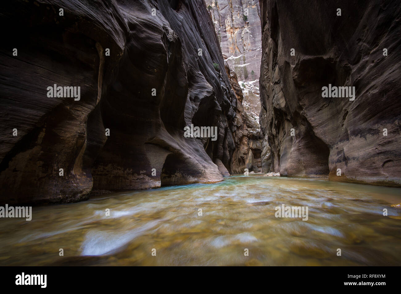 Hiking Zion National Park's famous slot canyon, The Narrows, in winter ...