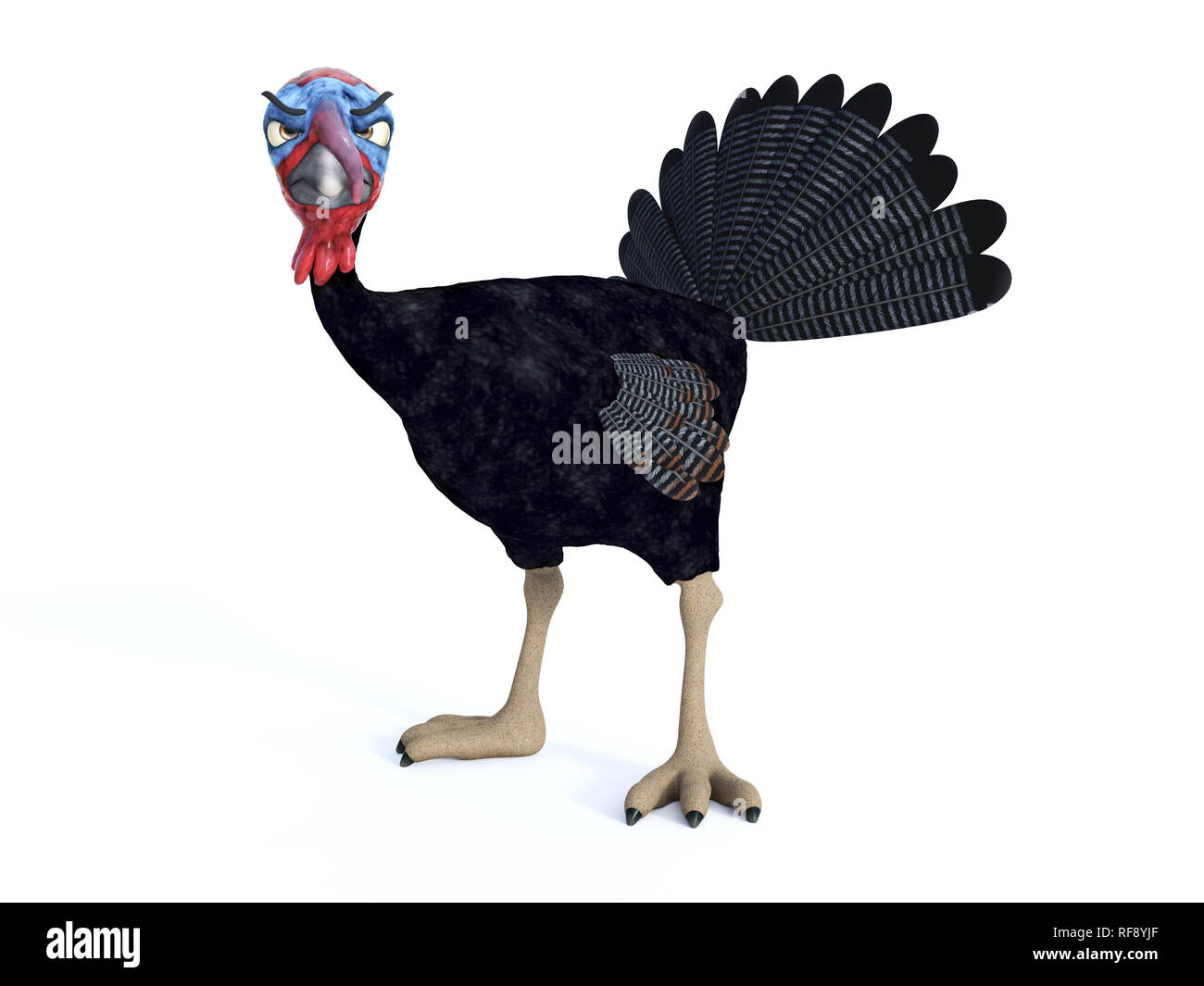 A funny silly cartoon turkey looking very angry. White background Stock ...