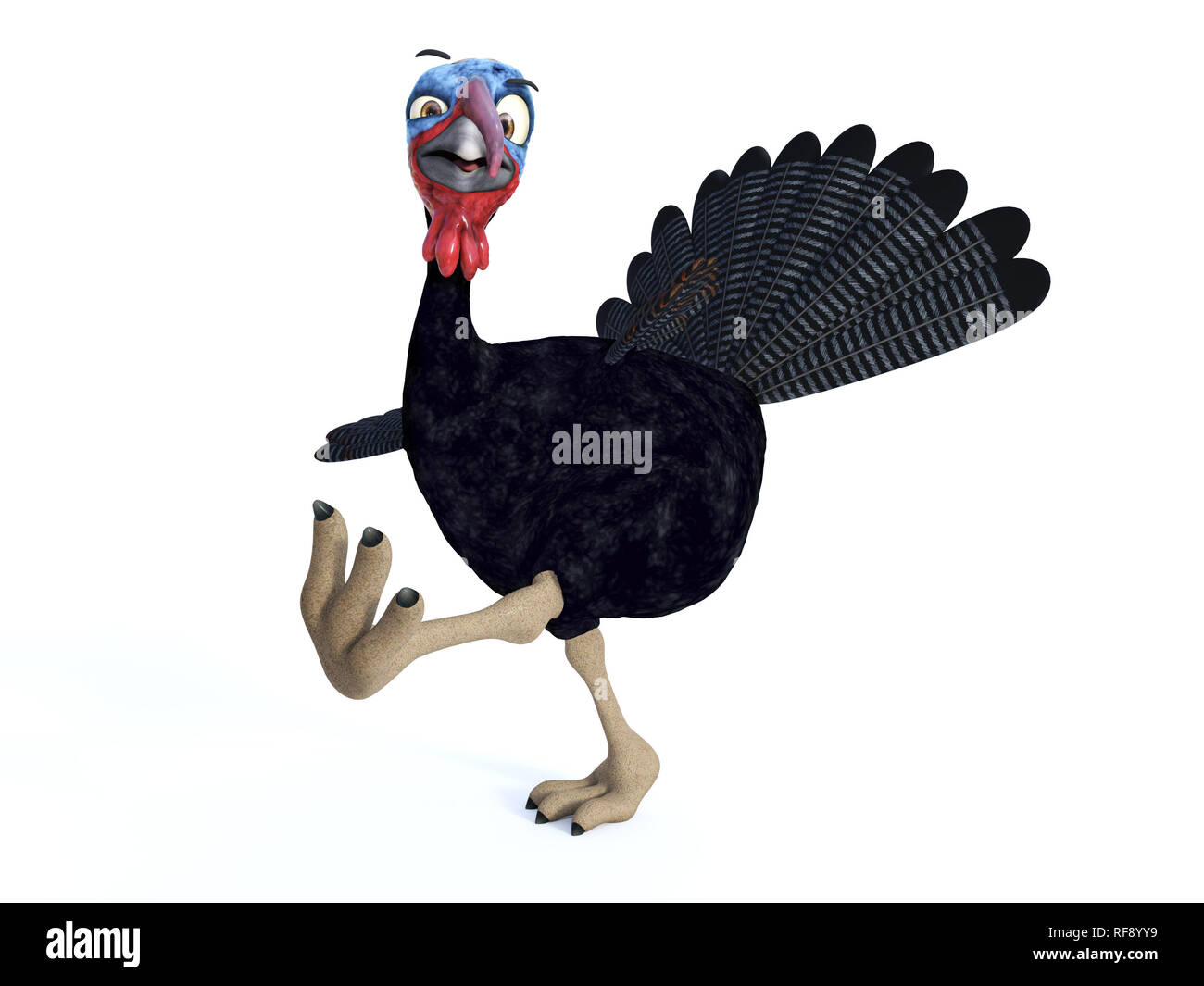 A funny silly looking cartoon turkey marching. White background Stock ...