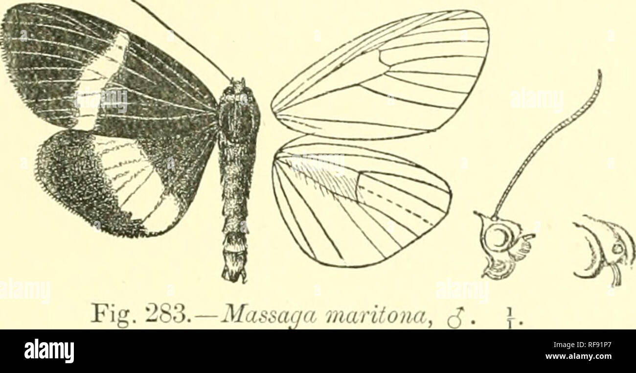 G43 Stock Photos & G43 Stock Images - Alamy