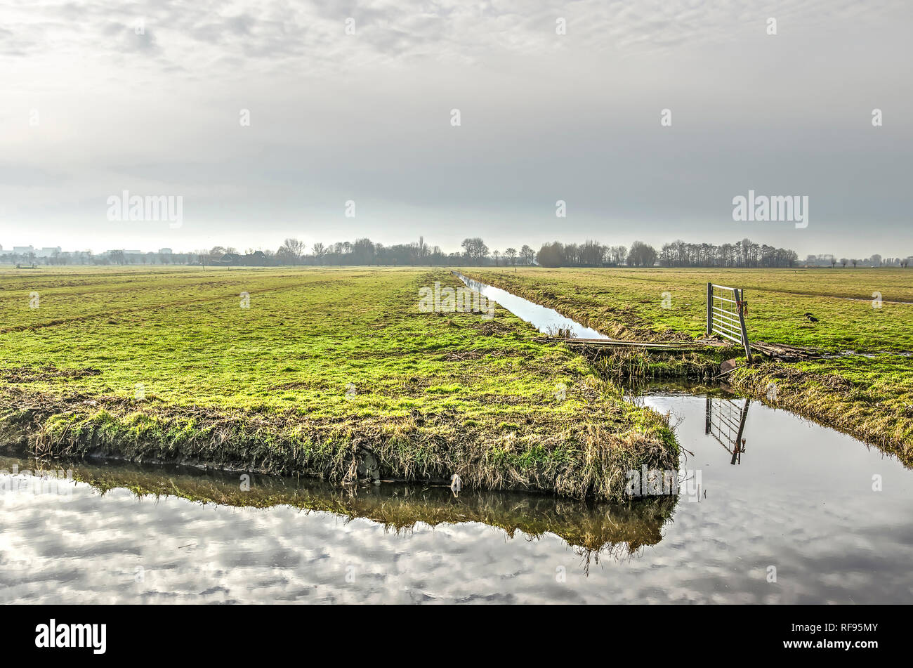 Midden delfland hi-res stock photography and images - Alamy