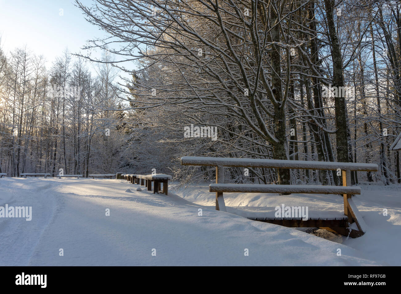 Pretty snowy wood hi-res stock photography and images - Alamy