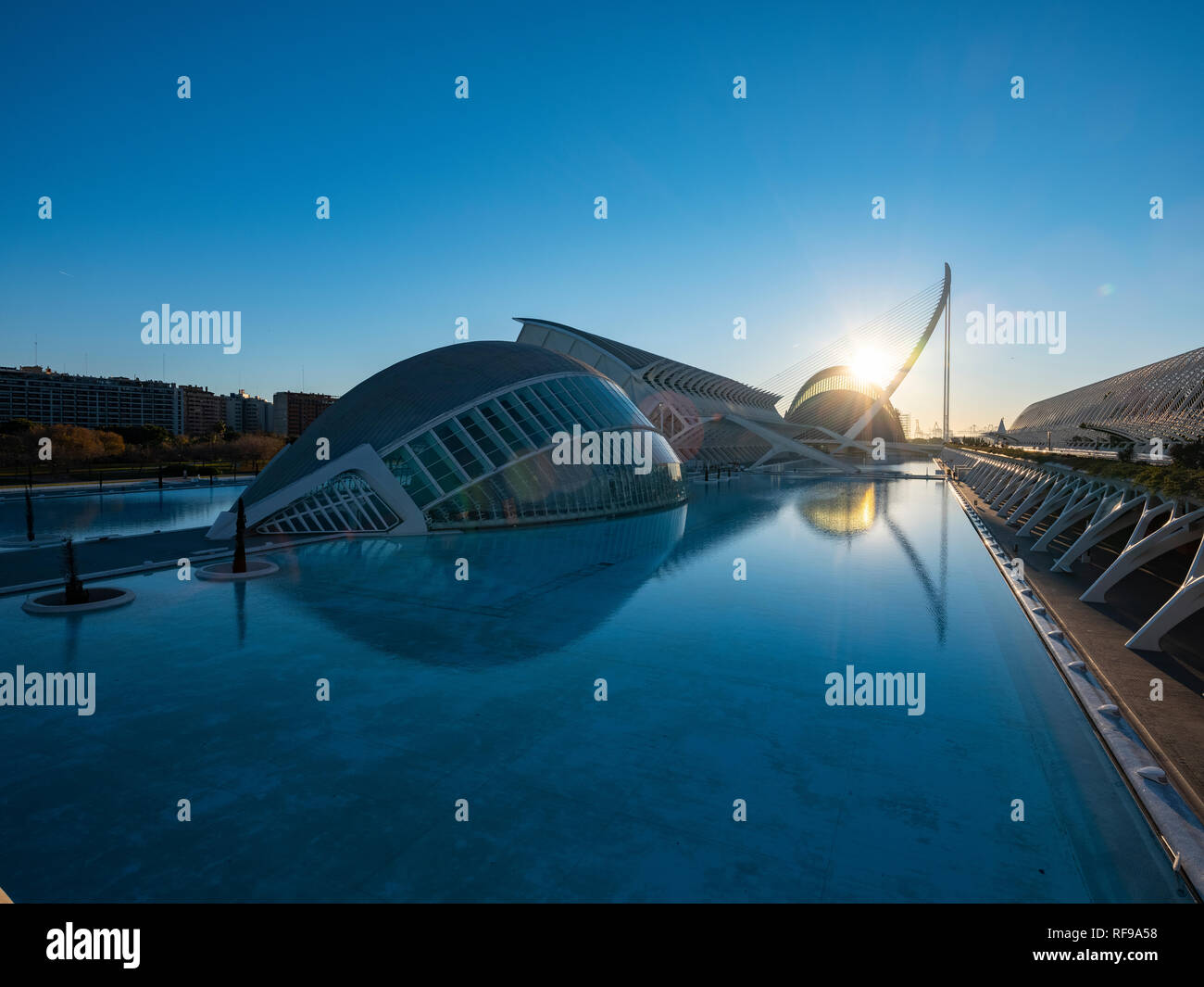 City of Art & Science Museum by Architect Santiago Calatrava in ...