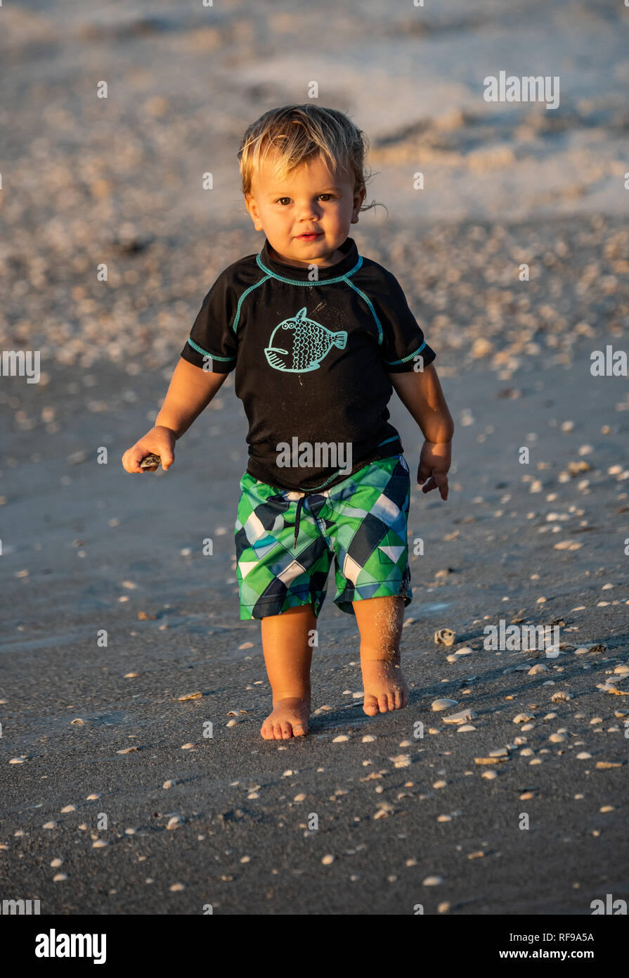 Florida beach surfer sunrise hi-res stock photography and images - Alamy
