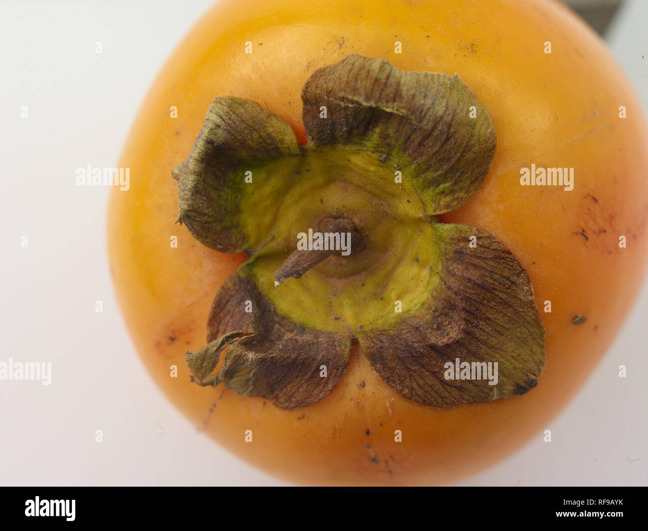 Persimmon, Sharon fruit, food still-life photograph Stock Photo - Alamy