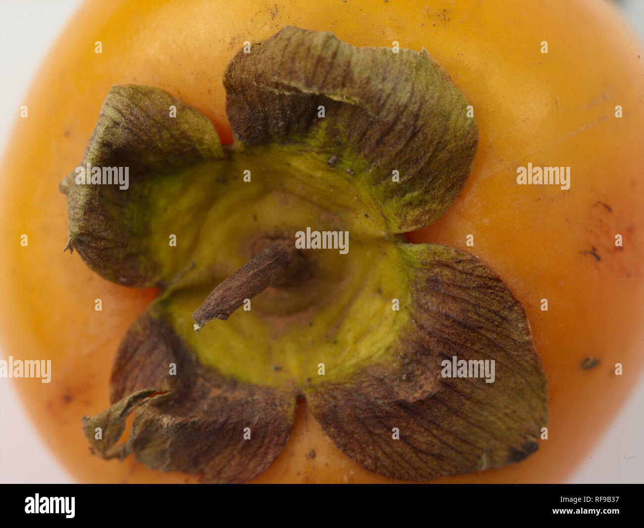Persimmon, Sharon fruit, food still-life photograph Stock Photo - Alamy