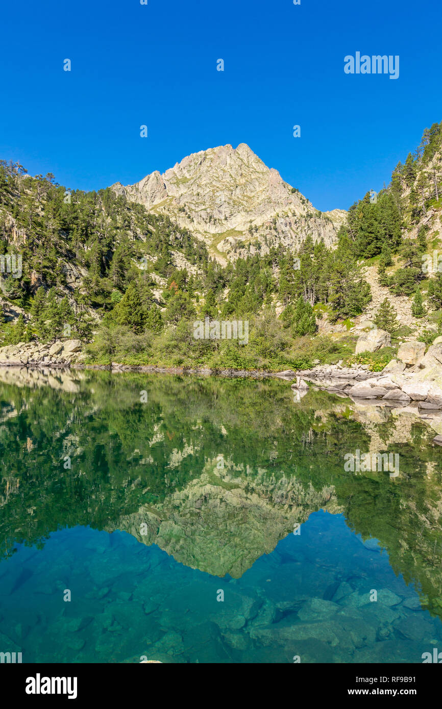 Beautiful reflections at the lake Stock Photo - Alamy