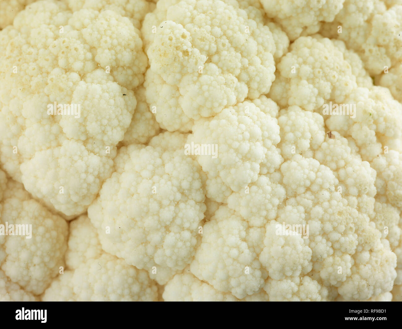 Cauliflower close up still-life food photograph Stock Photo - Alamy