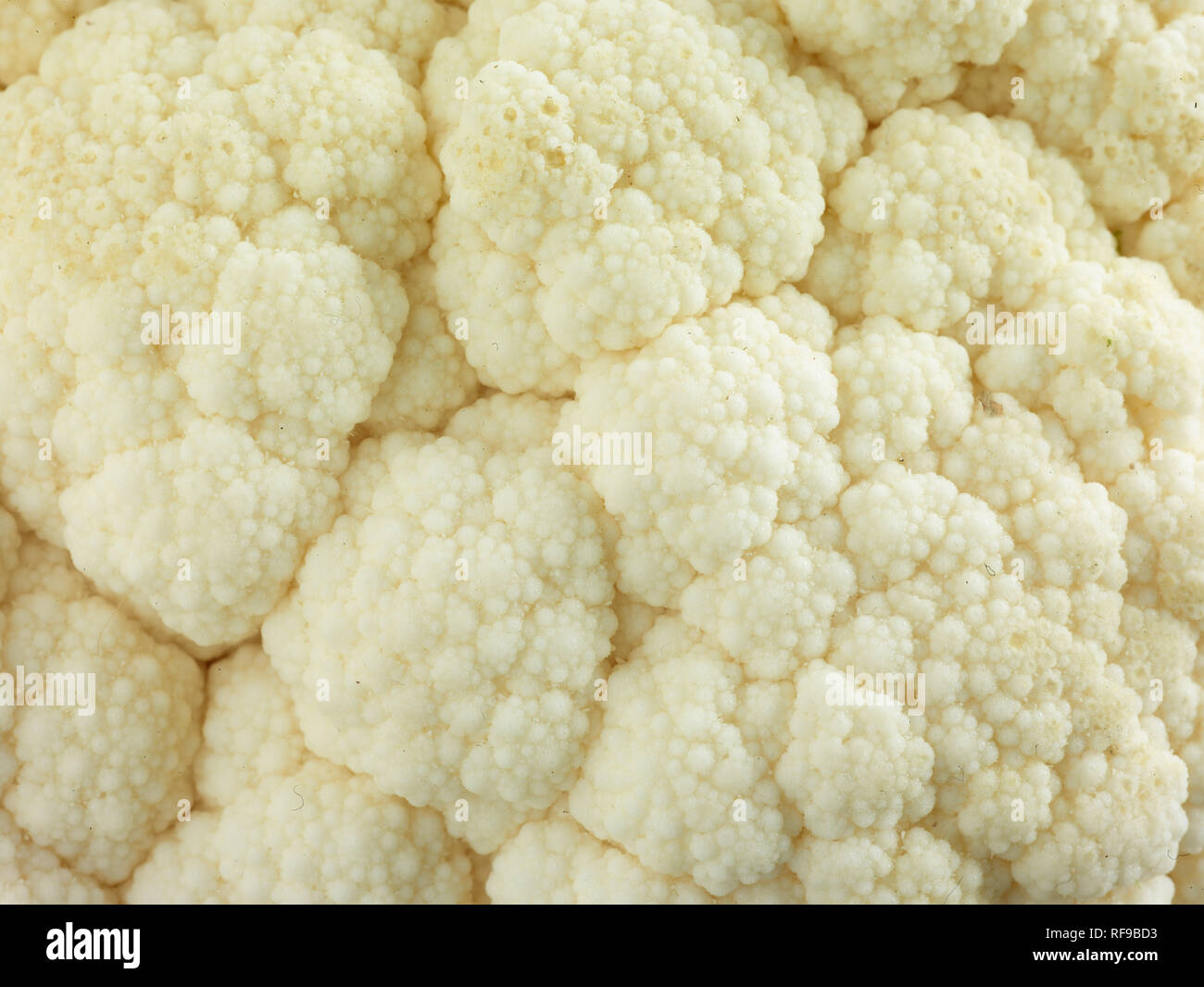 Cauliflower close up still-life food photograph Stock Photo - Alamy