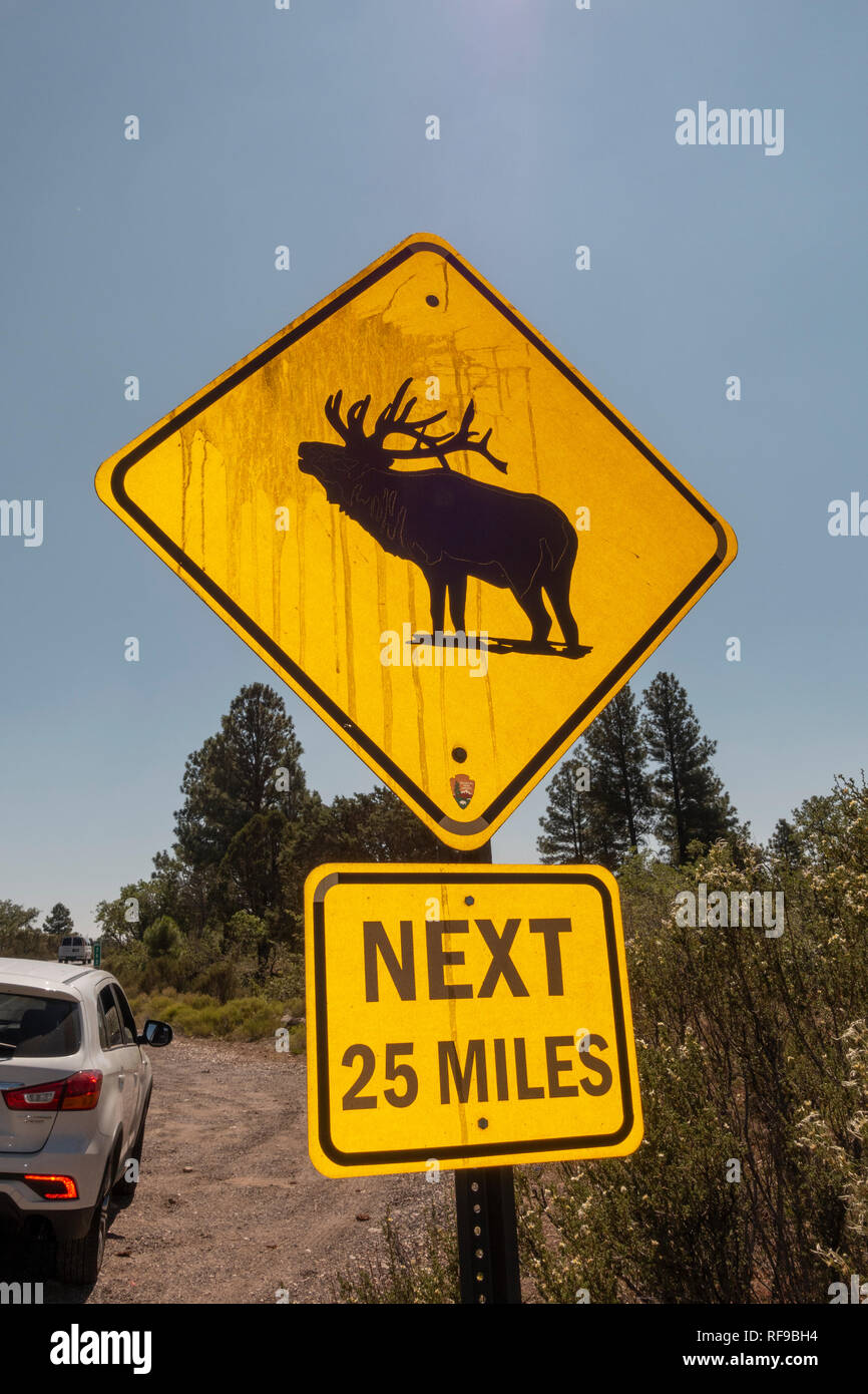 An elk crossing next 25 miles warning sign in the Grand Canyon Village ...