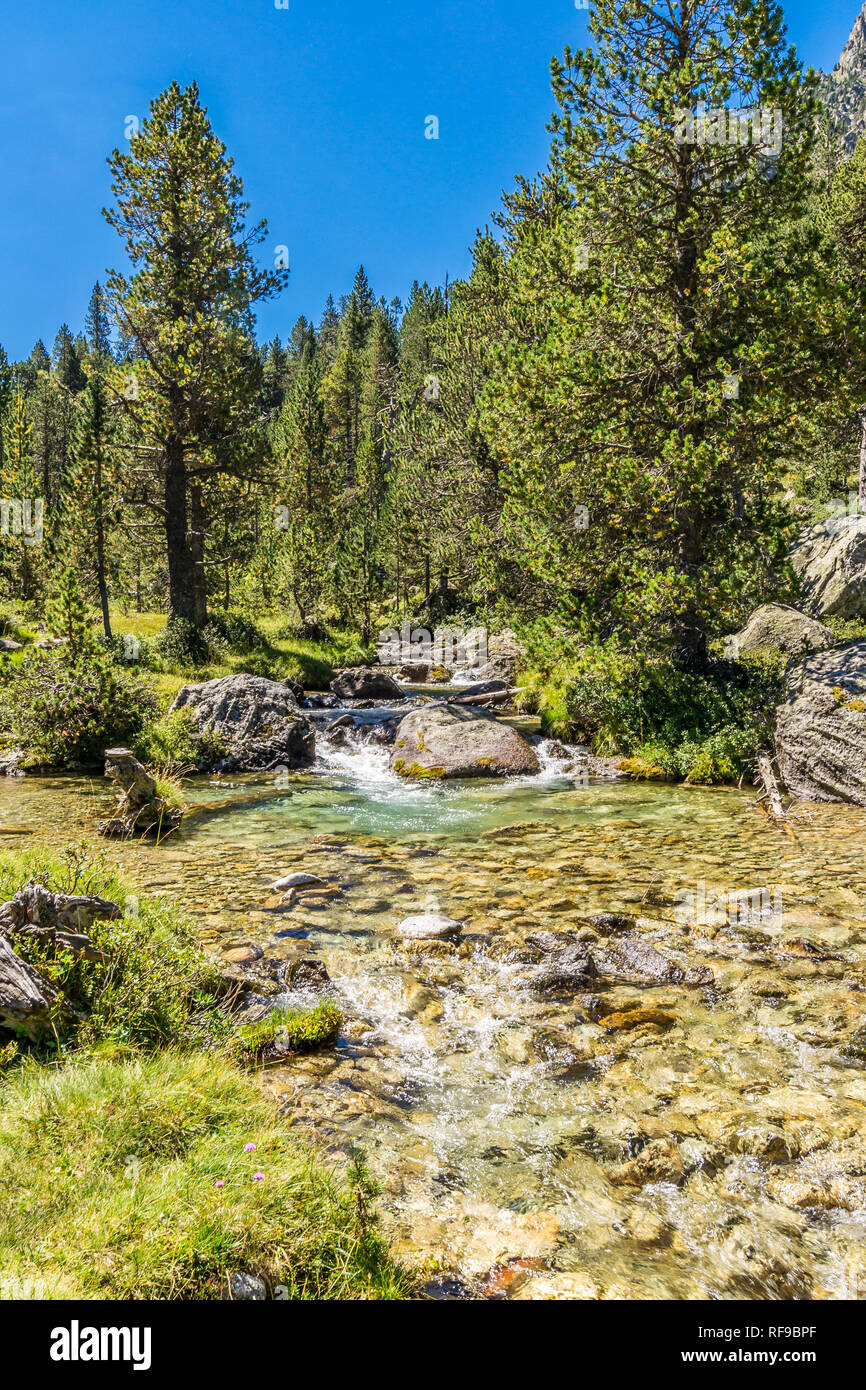 Beautiful stream of water in the summer sunlight Stock Photo - Alamy
