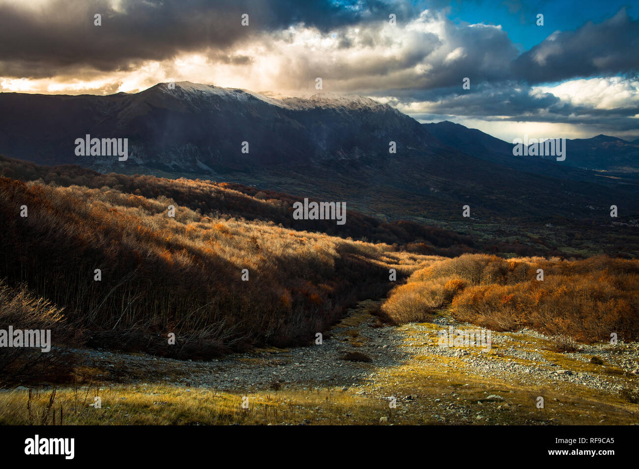 Sunset with dramatic light and the woods with autumn colors on Lama ...