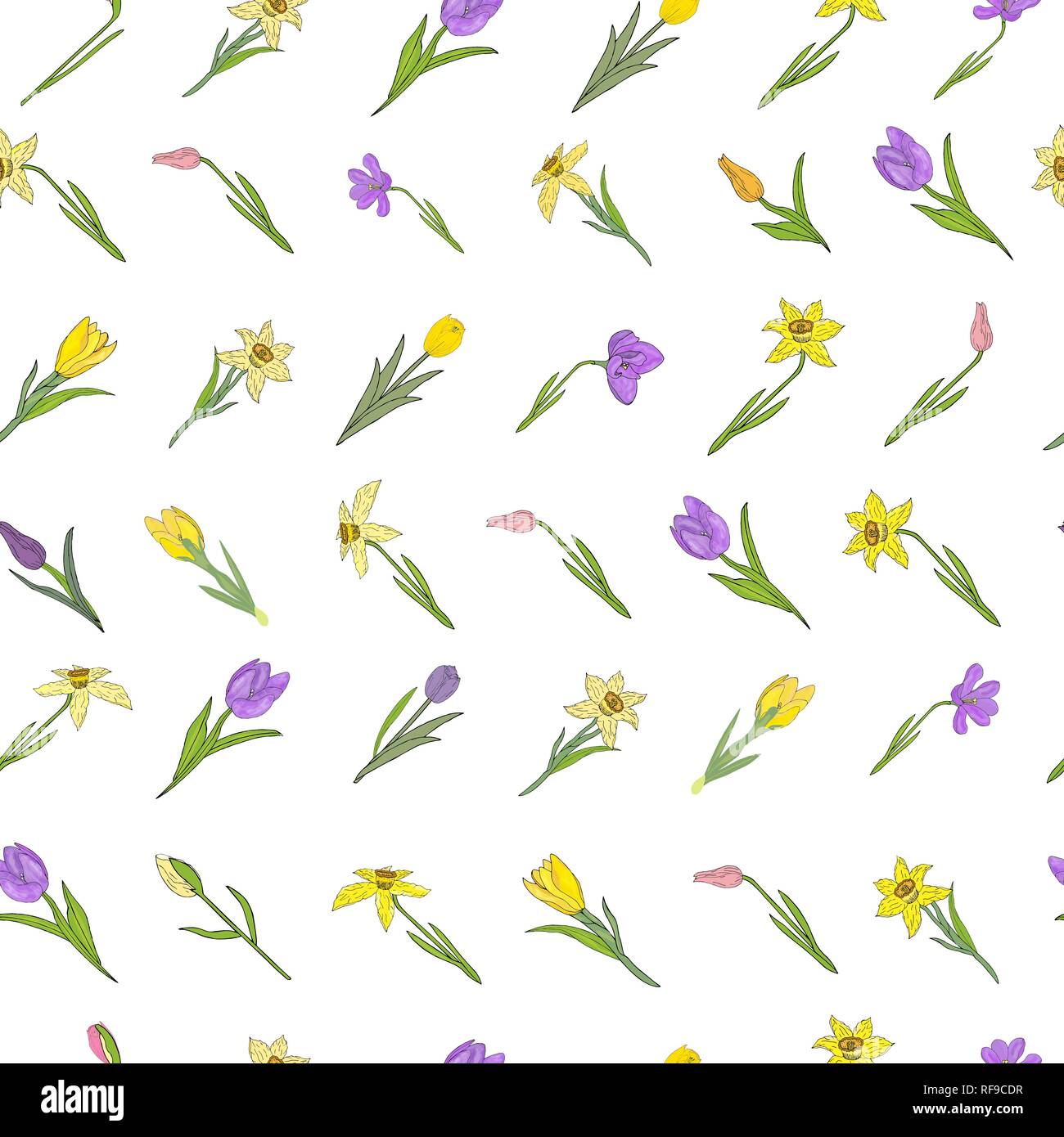 Seamless pattern with different spring flowers. Isolated elements on a ...