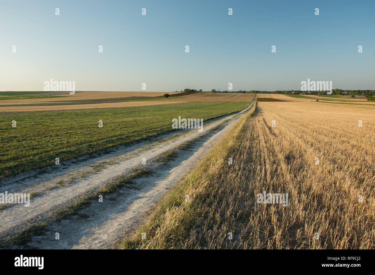 Long gravel road through the stubble and green field, horizon and ...