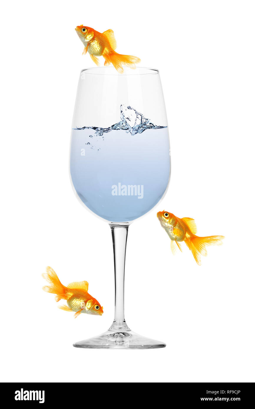 Goldfish water splash hi-res stock photography and images - Alamy