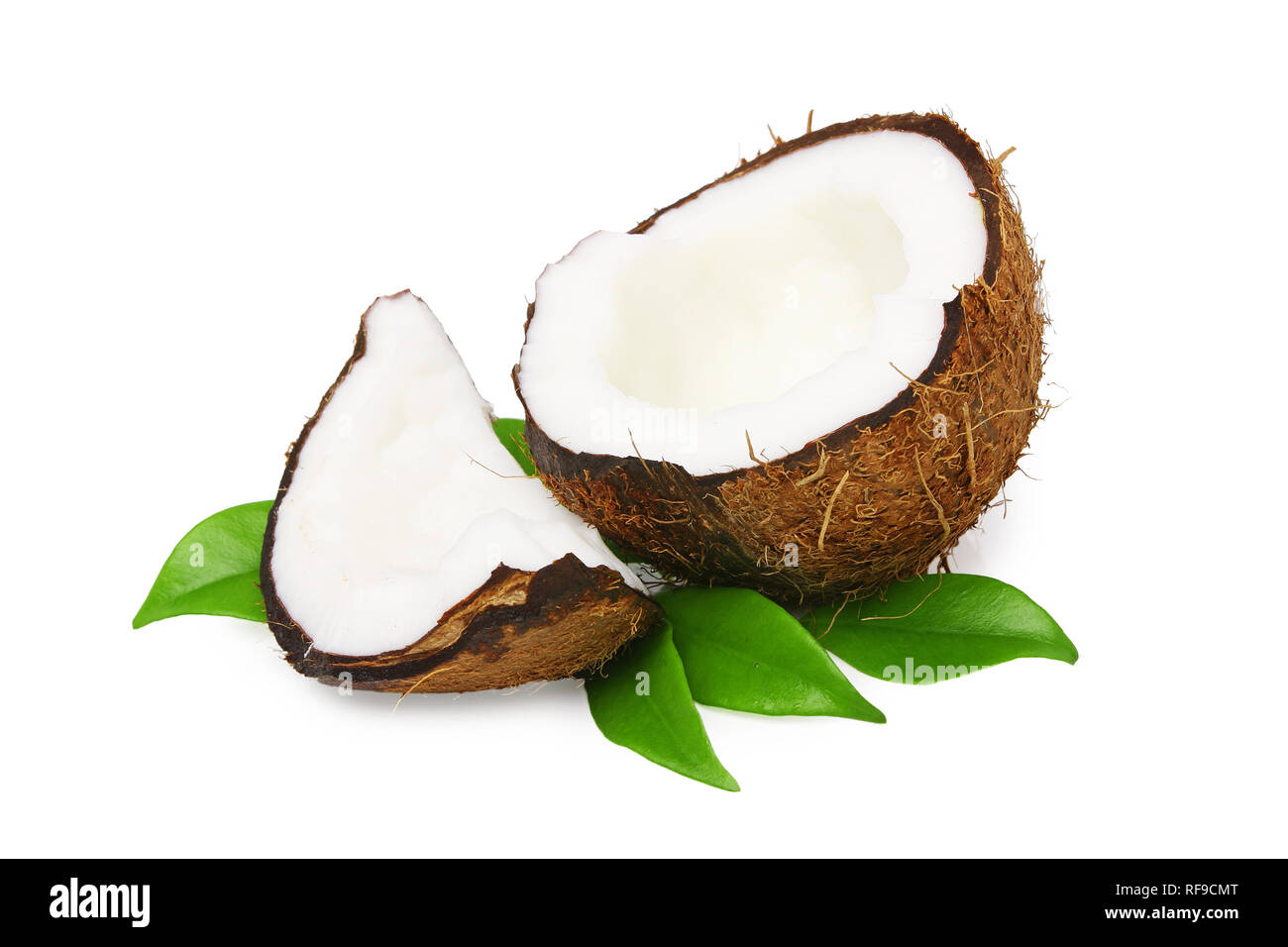 Coconut with green leaves isolated on white Stock Photo - Alamy