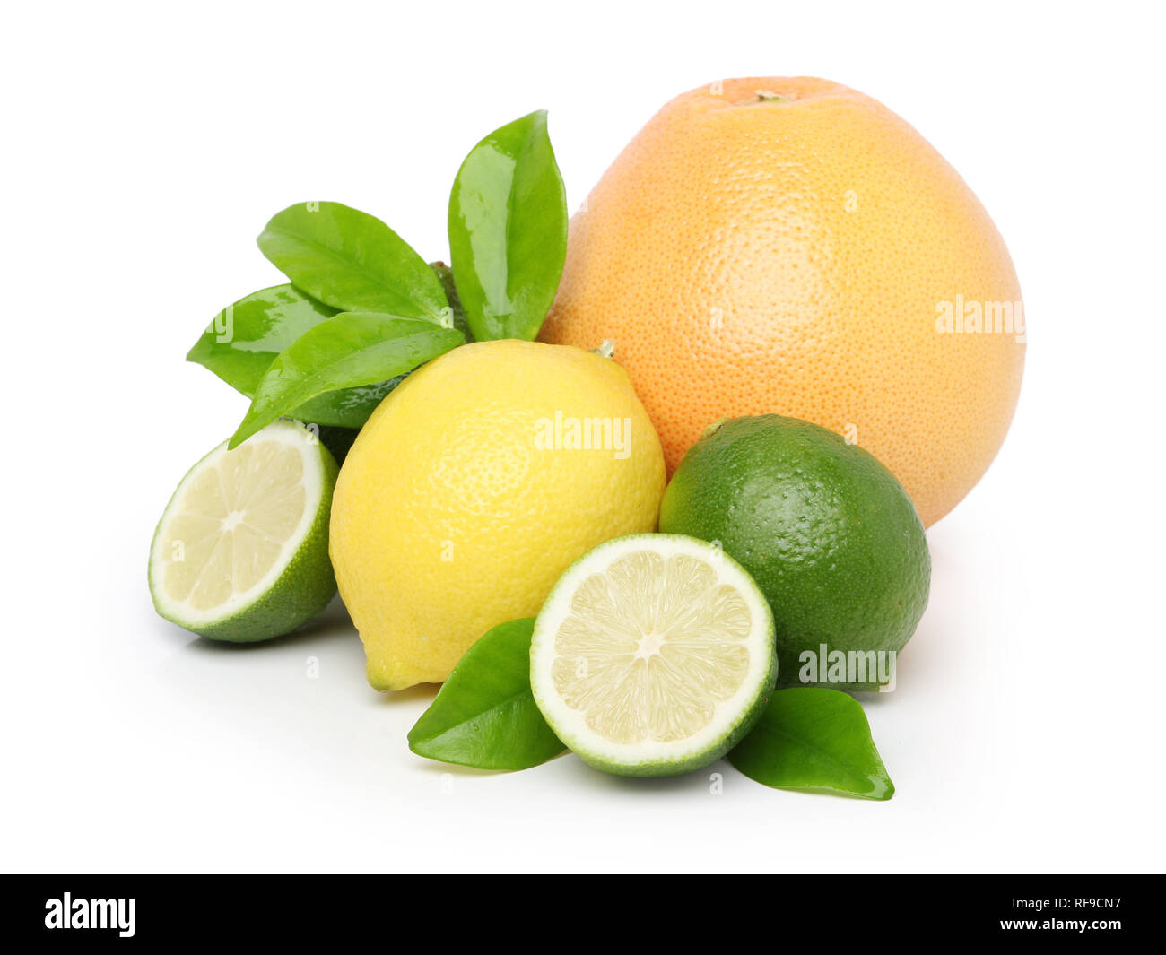 Citrus sample Cut Out Stock Images & Pictures - Alamy