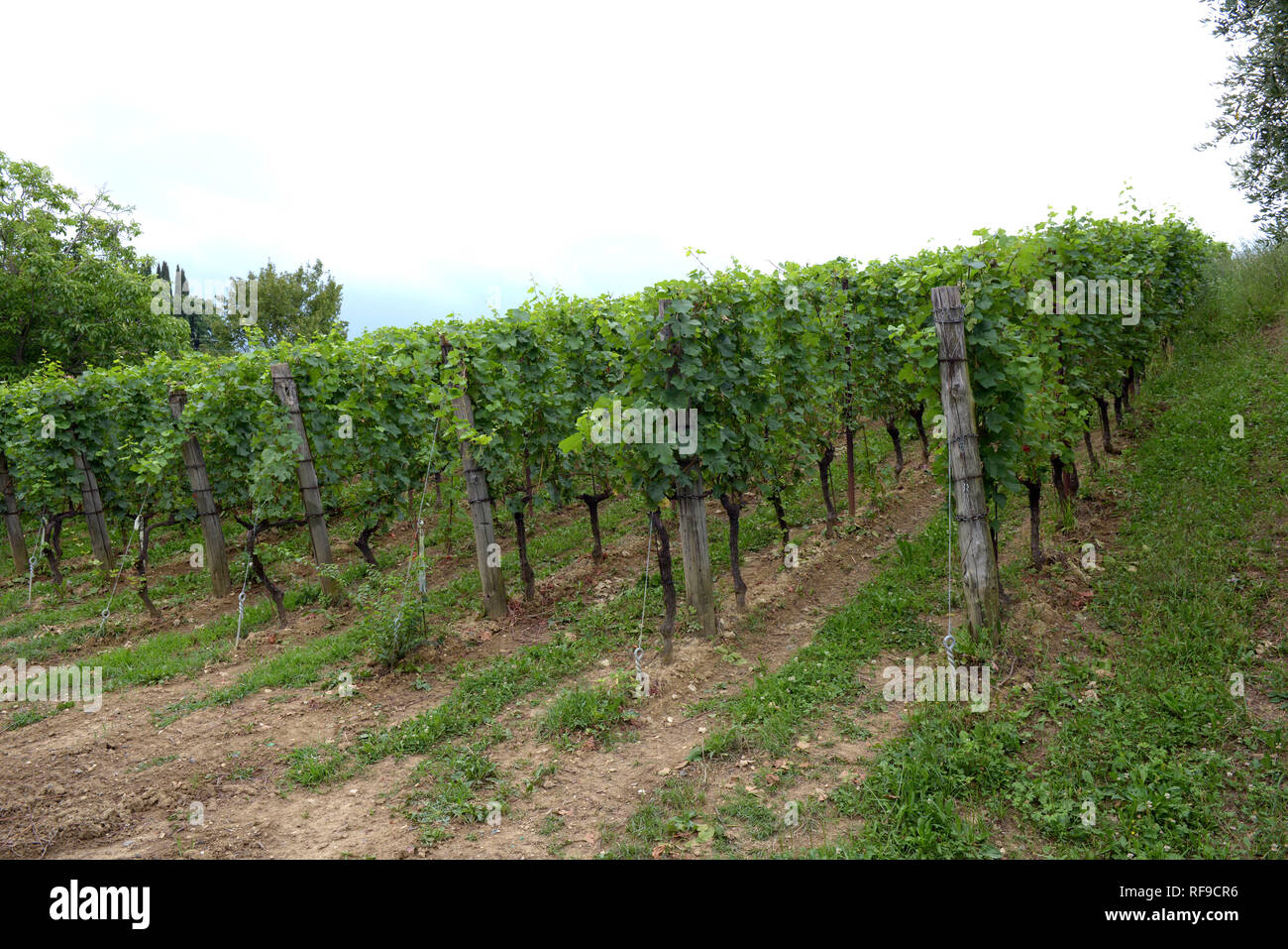 Diesel winery hi-res stock photography and images - Alamy