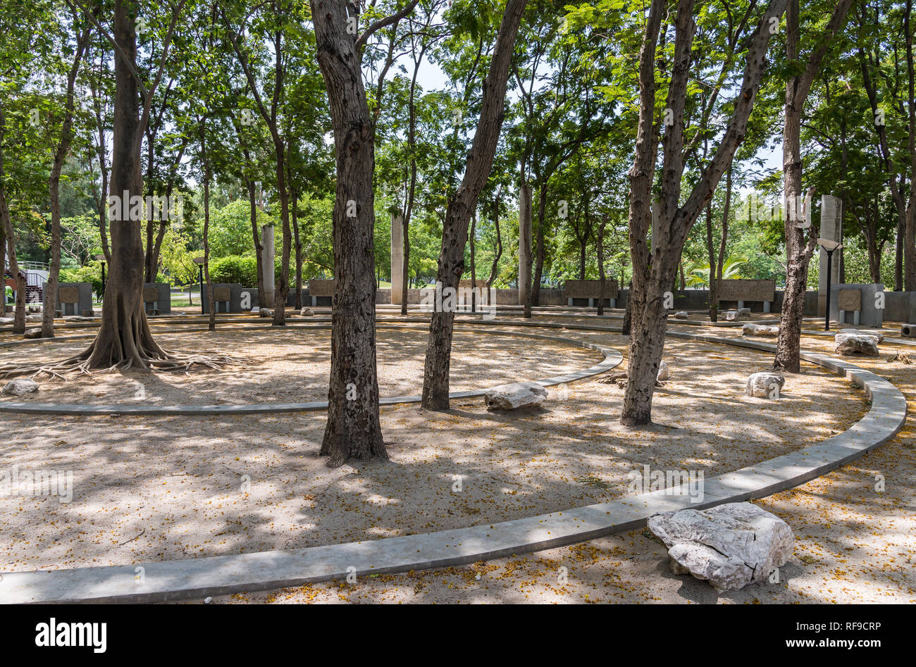 Modern concrete amphitheater under the tree which located in the urban ...
