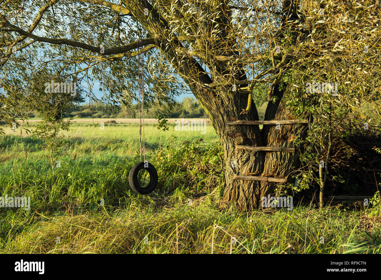 Kids on rope tyre swing black hi-res stock photography and images - Alamy
