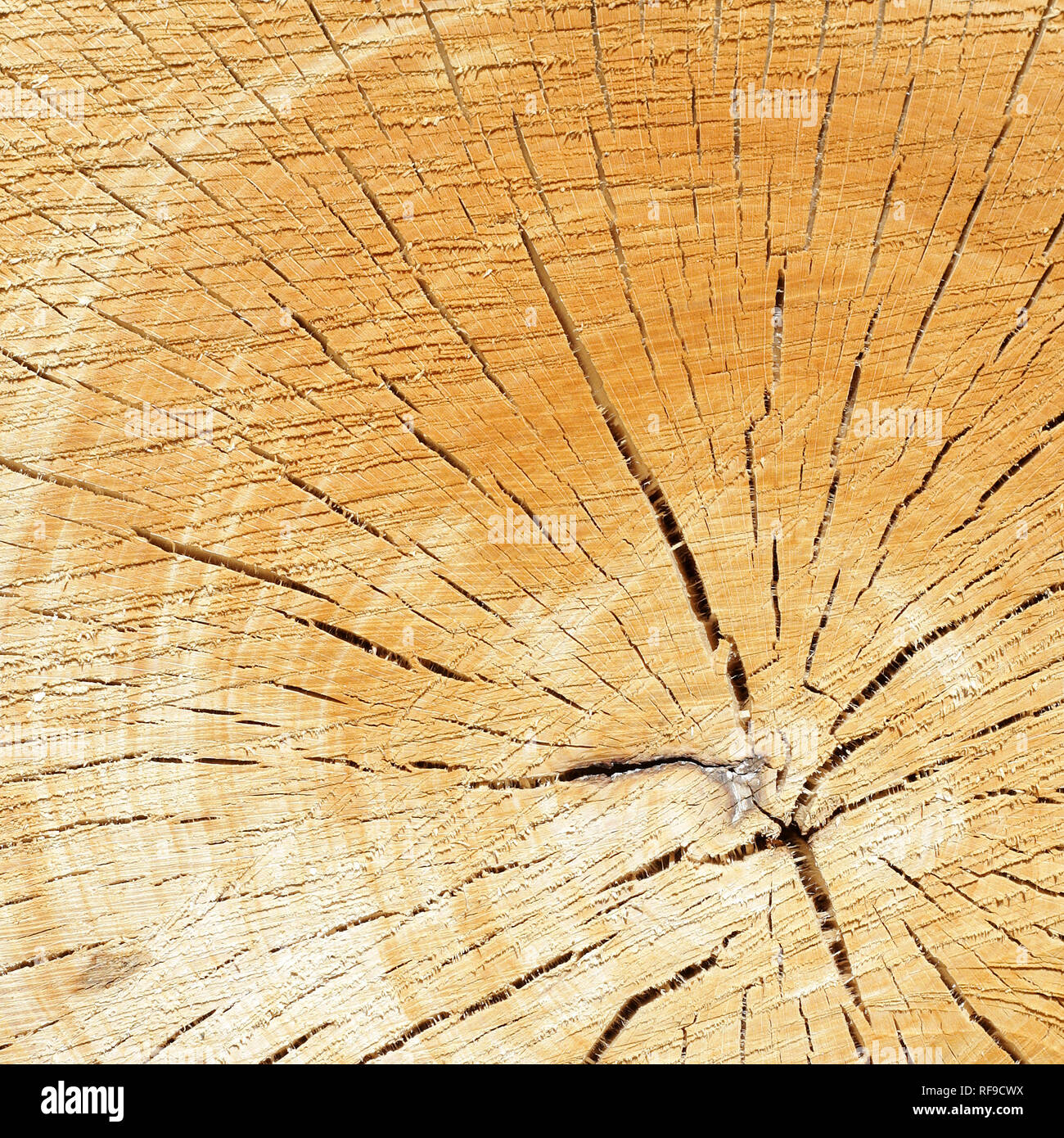 Image of the year hi-res stock photography and images - Alamy