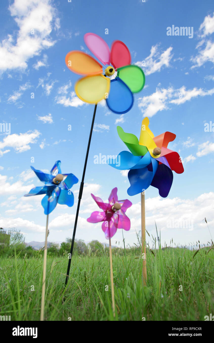 Colorful pinwheel toys in grass Stock Photo - Alamy