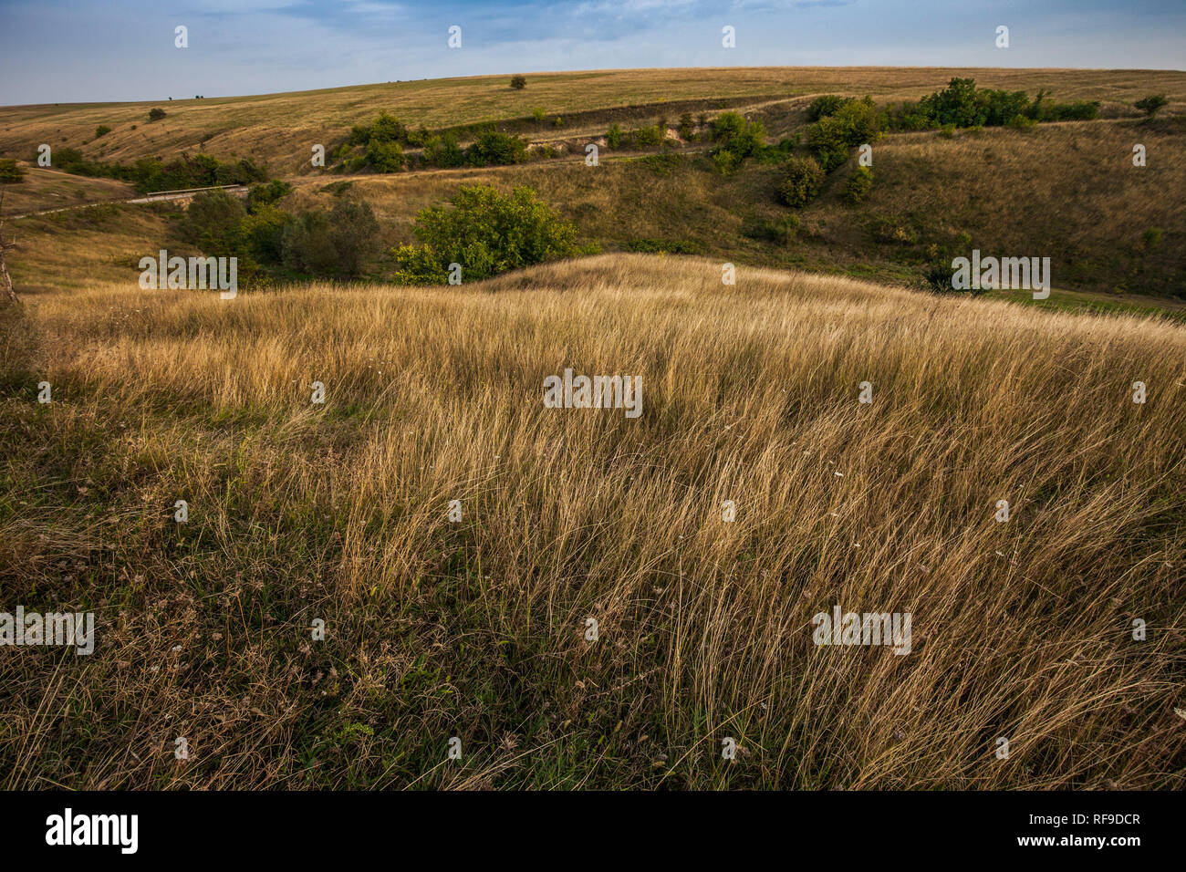 blue sky over grass field, rural landscape Stock Photo - Alamy
