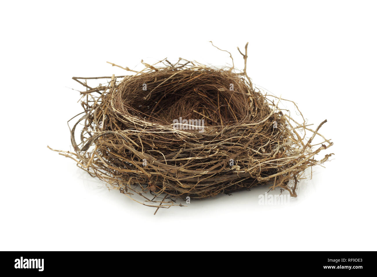 Empty bird nest hi-res stock photography and images - Alamy