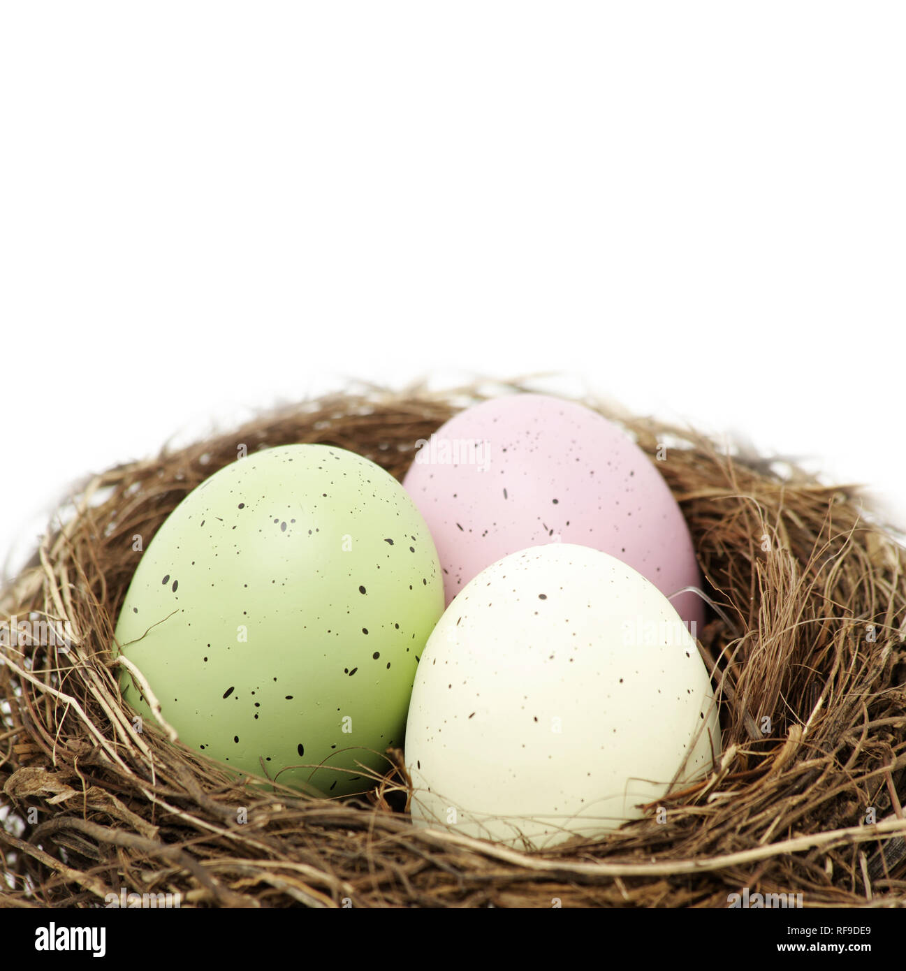 Easter eggs in real bird nest on white Stock Photo - Alamy
