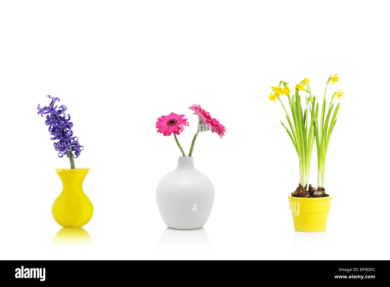 Spring flowers in vases and pot, isolated on white Stock Photo - Alamy