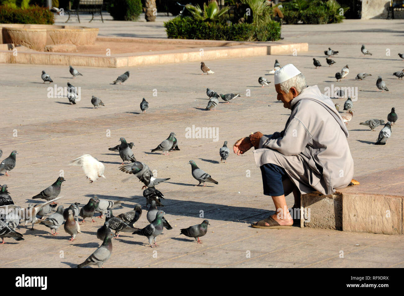 Old moroccan man hi-res stock photography and images - Alamy