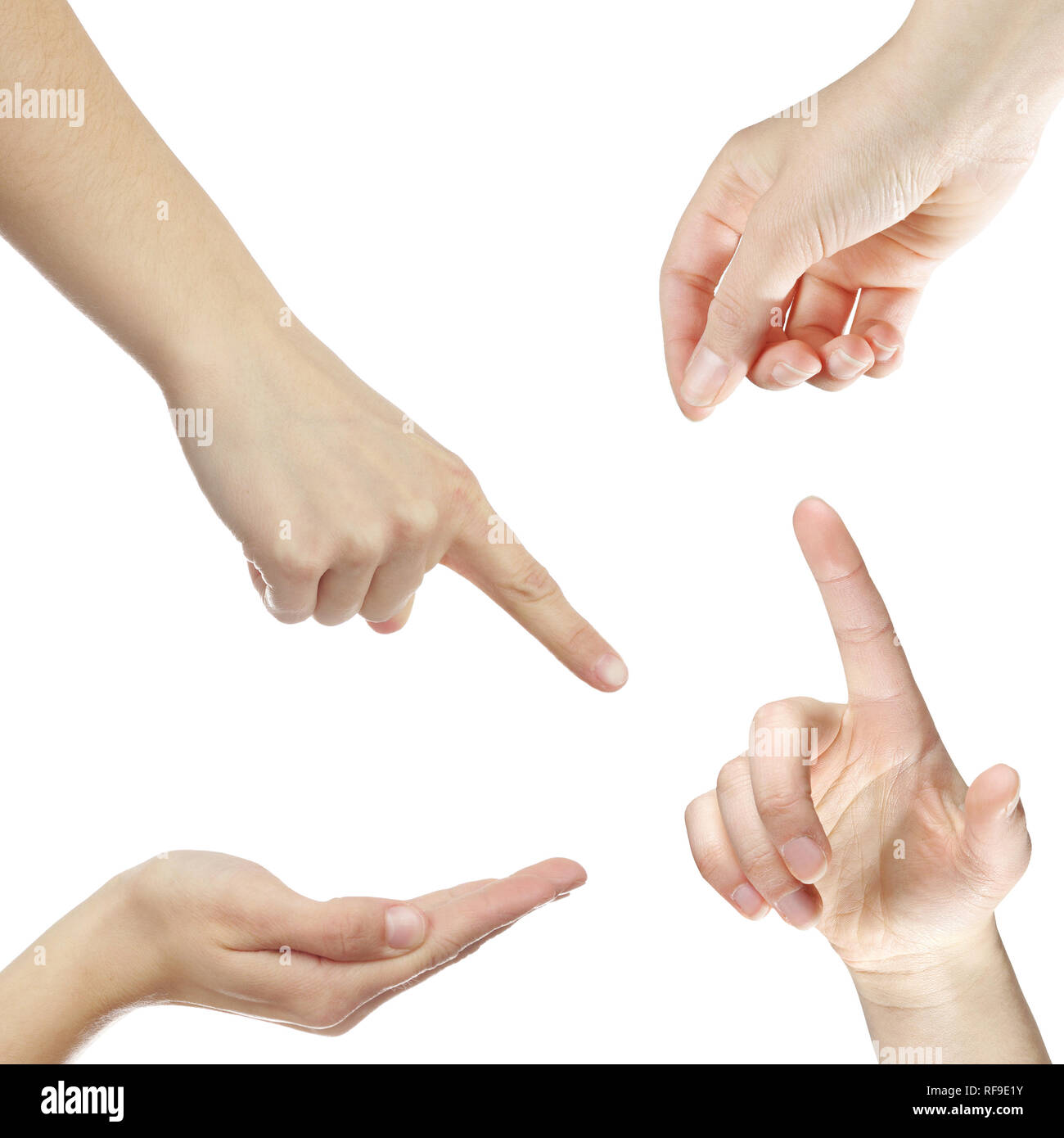 Female hands pointing and holding, isolated on white Stock Photo - Alamy