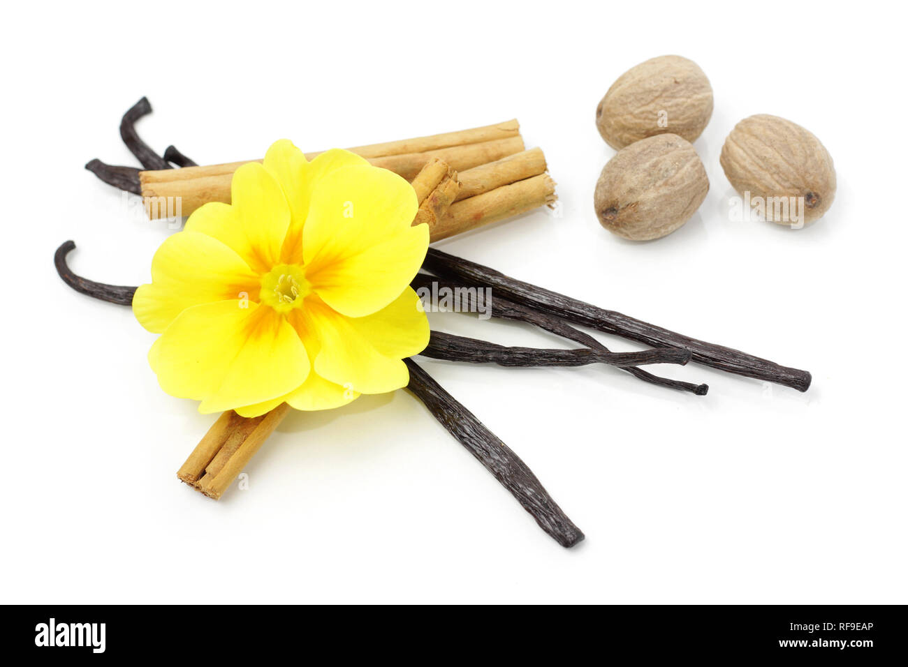 Spices with primrose flower, isolated on white Stock Photo - Alamy