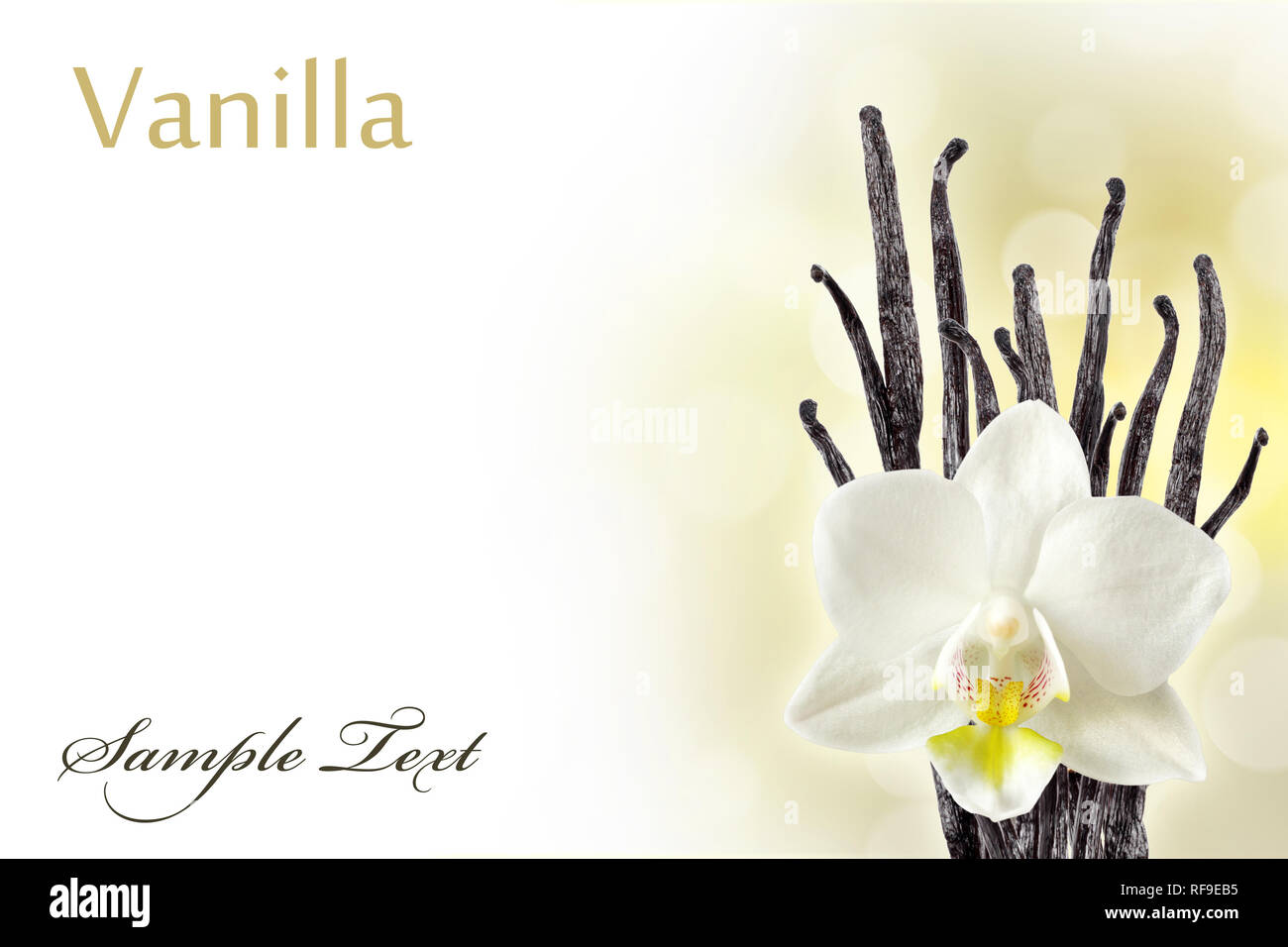 Vanilla beans and orchid flower Stock Photo - Alamy