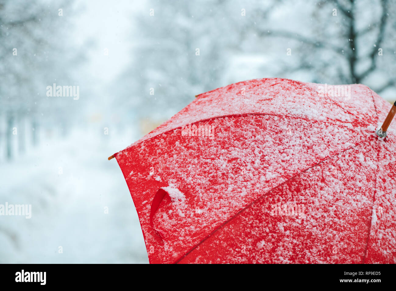 Red umbrella snow hi-res stock photography and images - Alamy