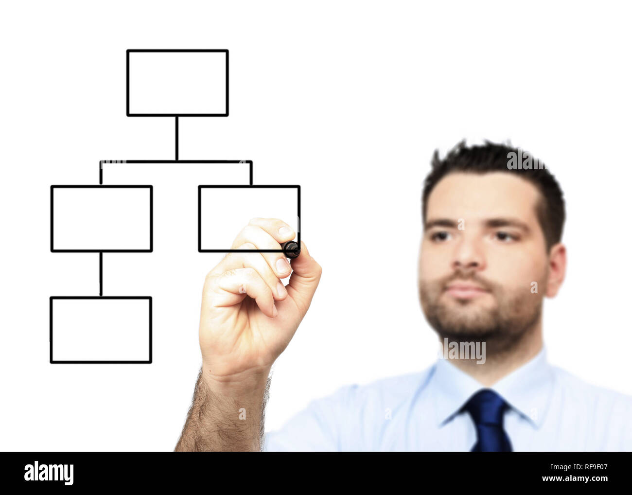 Adult handsome businessman drawing a diagram Stock Photo - Alamy