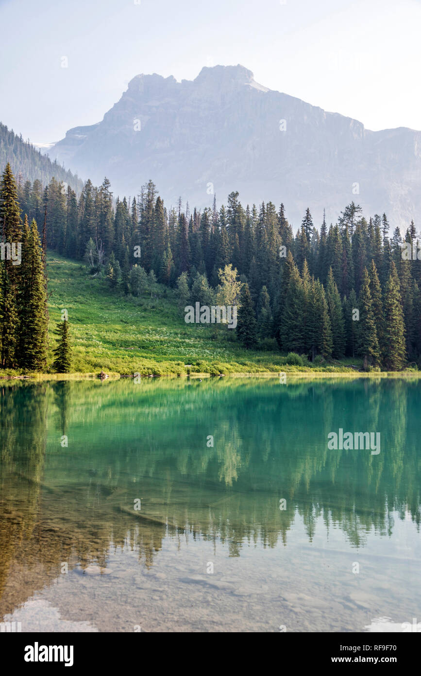 Emerald Lake in Yoho National Park Stock Photo - Alamy