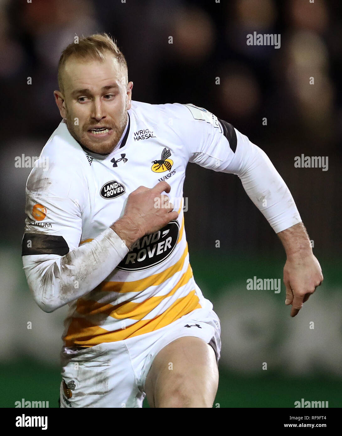 Wasps' Dan Robson during the Heineken Champions Cup match at the ...