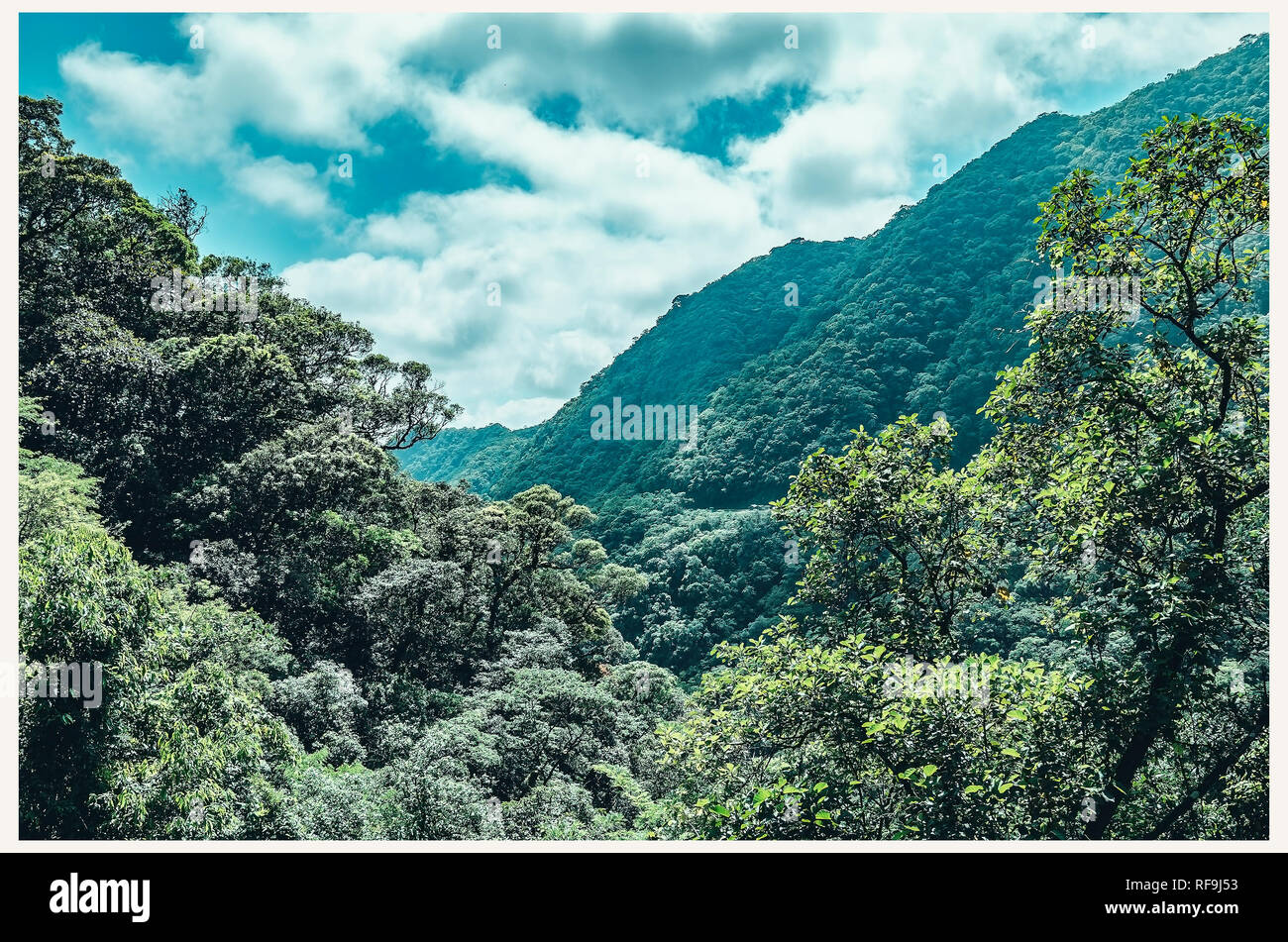 Serra do mar mountains hi-res stock photography and images - Alamy