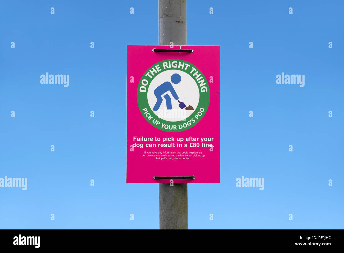 Pick up dog poo with bag pink sign and blue sky Stock Photo - Alamy