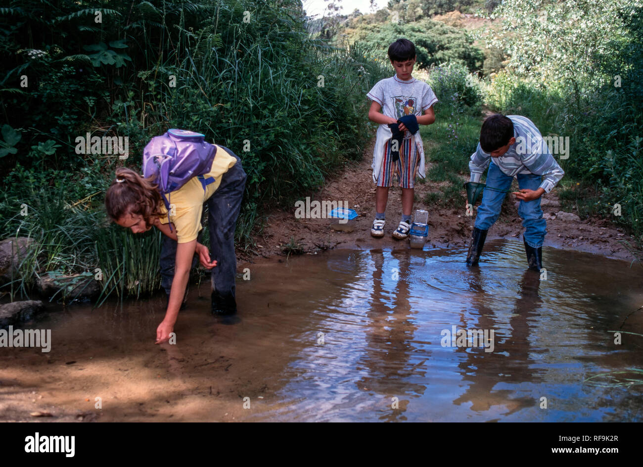 Discovering Creatures High Resolution Stock Photography and Images - Alamy