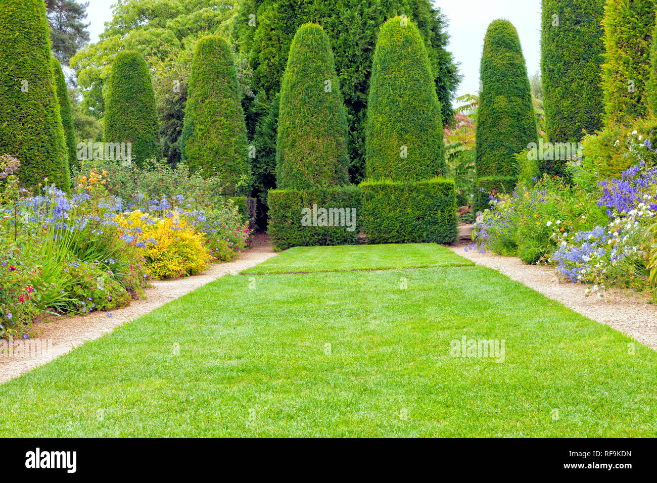 Cone shaped trees hi-res stock photography and images - Alamy