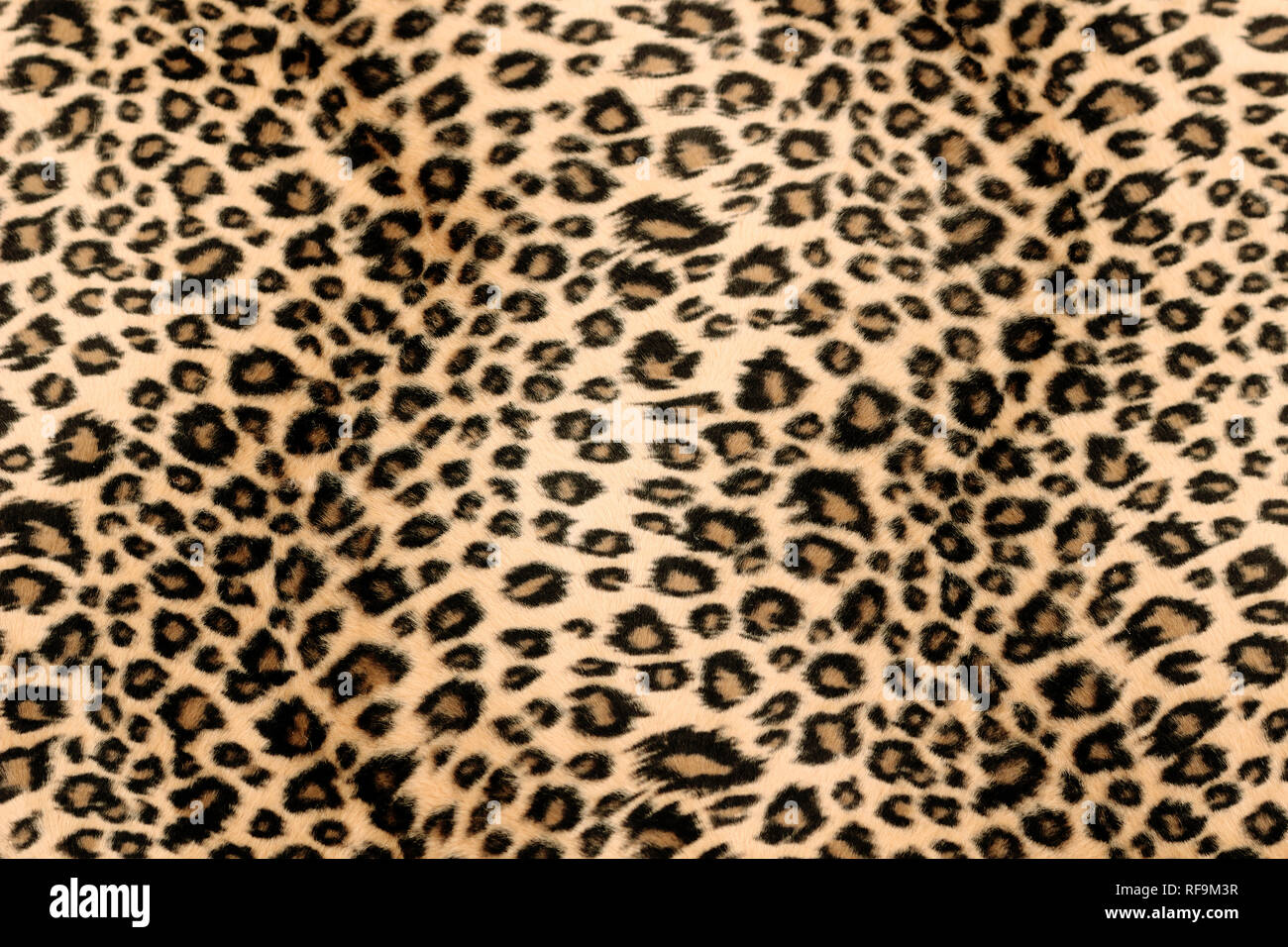 Leopard print fabric texture hi-res stock photography and images - Alamy