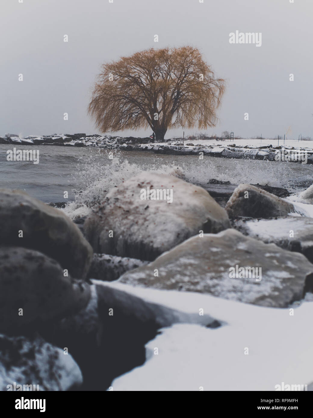 Surfer’s hall of fame hi-res stock photography and images - Alamy