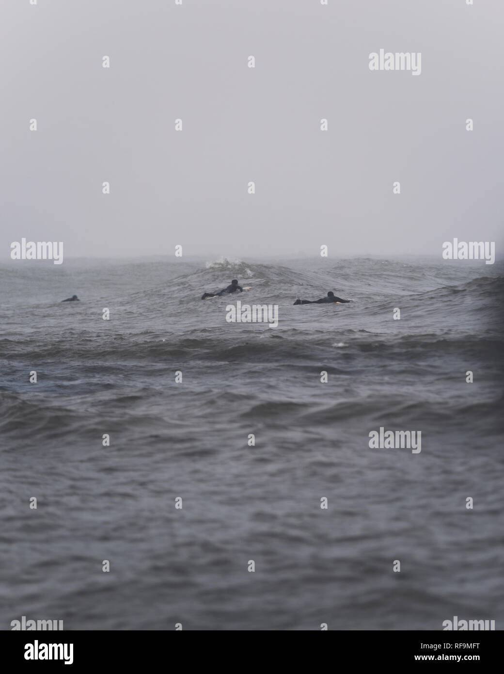 Surfer’s hall of fame hi-res stock photography and images - Alamy