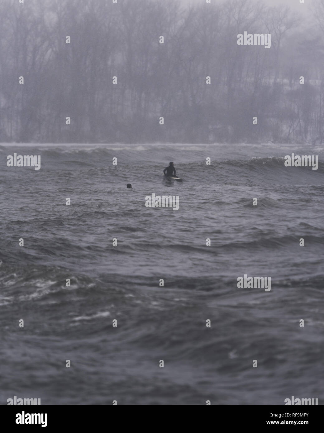 Surfers in the snow Stock Photo - Alamy